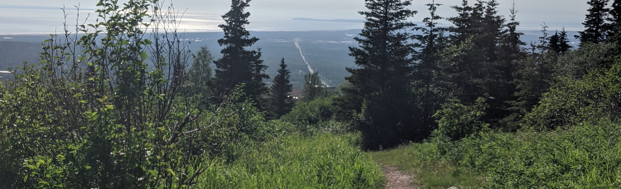 Denali View to Powerline to White Spruce, Alaska - 35 Reviews, Map ...