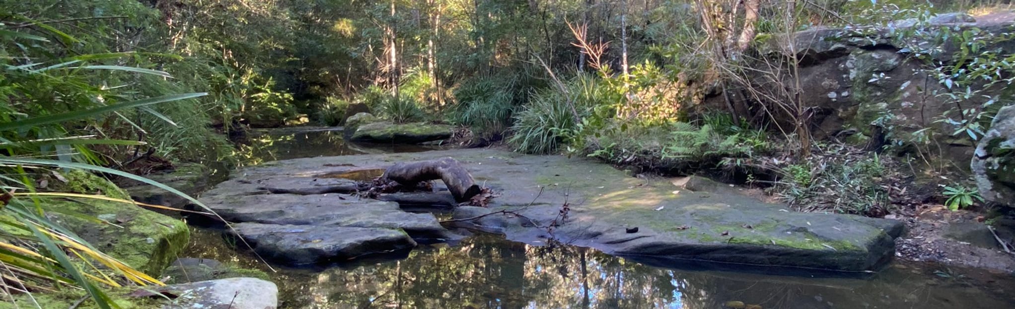 Pennant Hills Circuit, New South Wales, Australia - 405 Reviews, Map ...