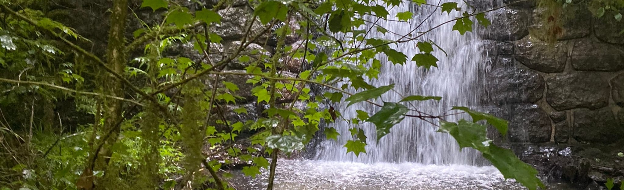 Imakura Shrine - Kongo Falls - Komine Park: 234 foto's - Tokio, Japan ...