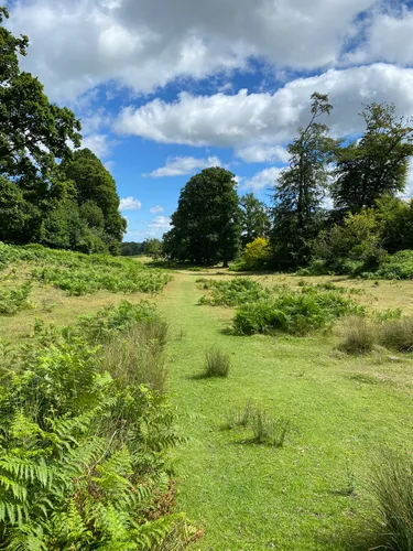 10 Best Easy Trails in Kent Downs National Landscape (AONB) | AllTrails