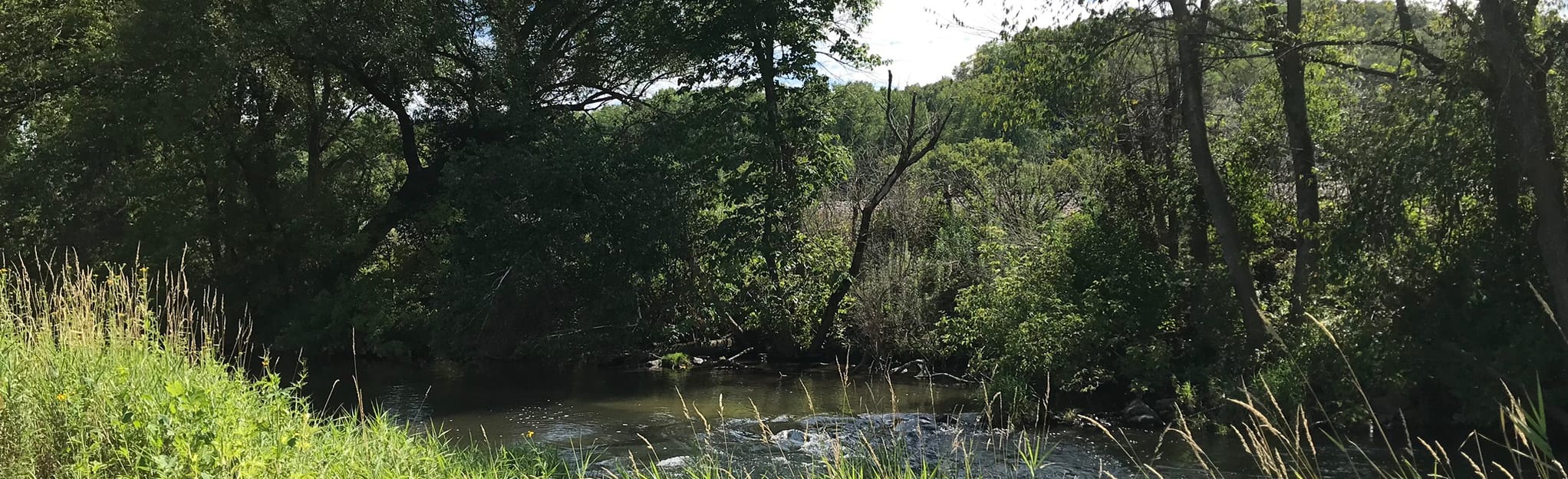 Wolf Run Trail, Wisconsin - 48 Reviews, Map | AllTrails