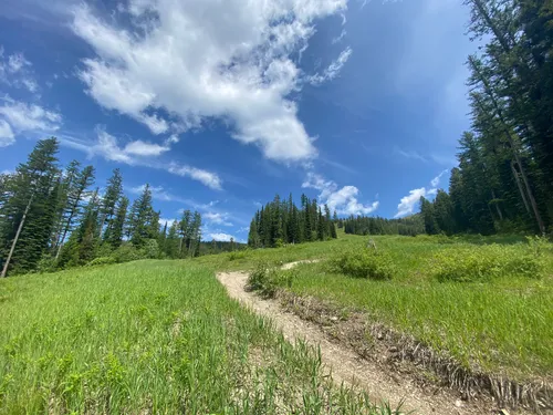 Best 10 Hikes and Trails in Flathead National Forest | AllTrails