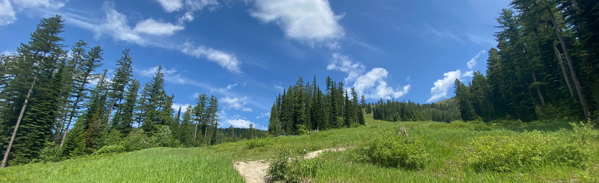 Danny On National Recreation Trail: 1081 Reviews, Map - Montana | AllTrails