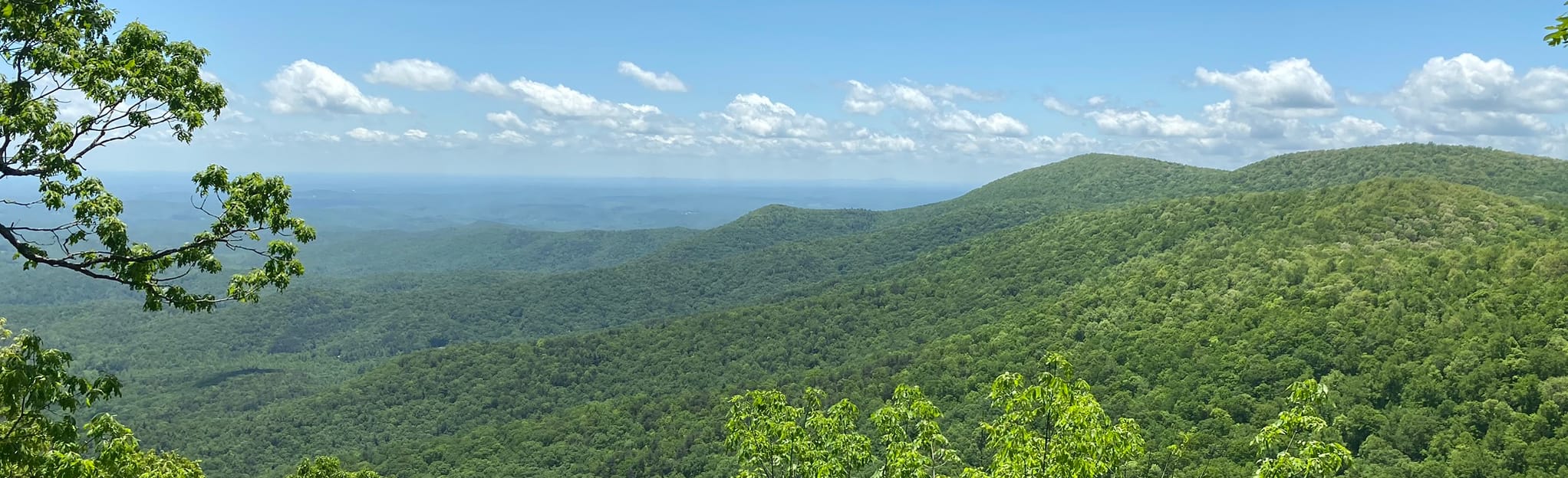 Appalachian Trail: Cooper Gap to Woody Gap , Georgia - 269 Reviews, Map ...