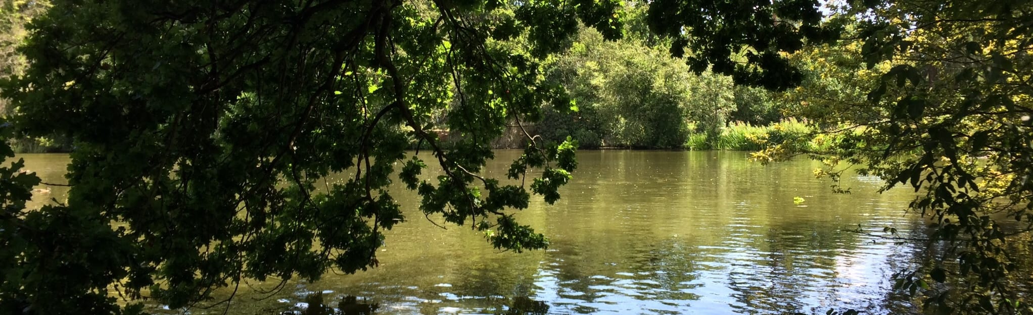 Danbury Country Park Circular : 31 Photos - Essex, Angleterre ...