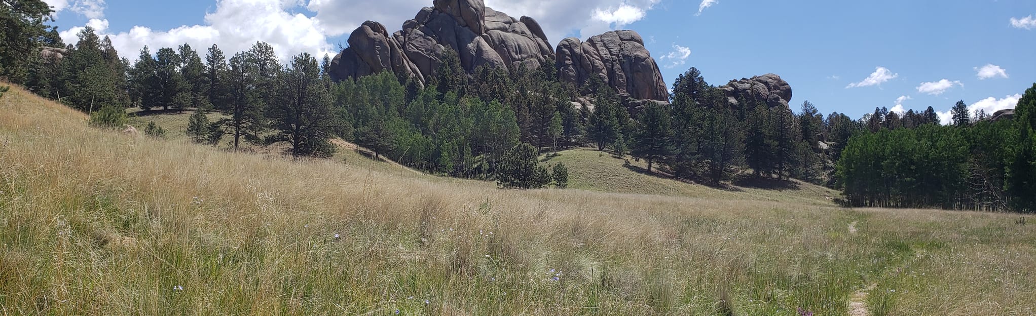 Twin Rock Trail: 41 Reviews, Map - Colorado | AllTrails