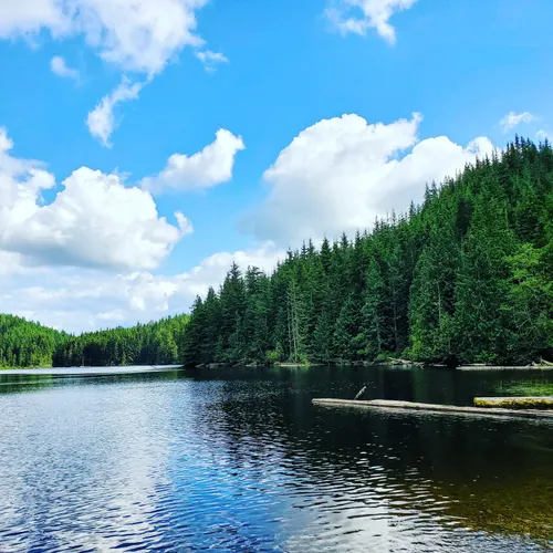 10 Best Trails and Hikes in Gold Bar | AllTrails