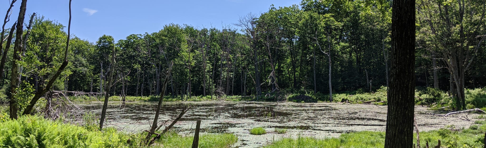 Twin Pond via Taconic Crest Trail to Taconic Skyline Trail ...