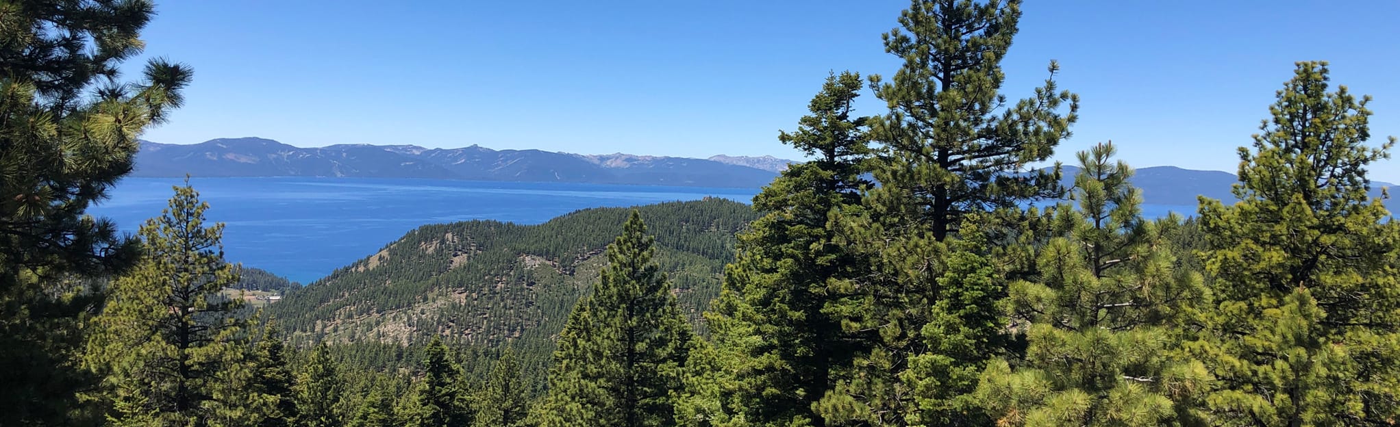 Tahoe Rim Trail (TRT): Spooner Summit to South Camp Peak | Map, Guide ...