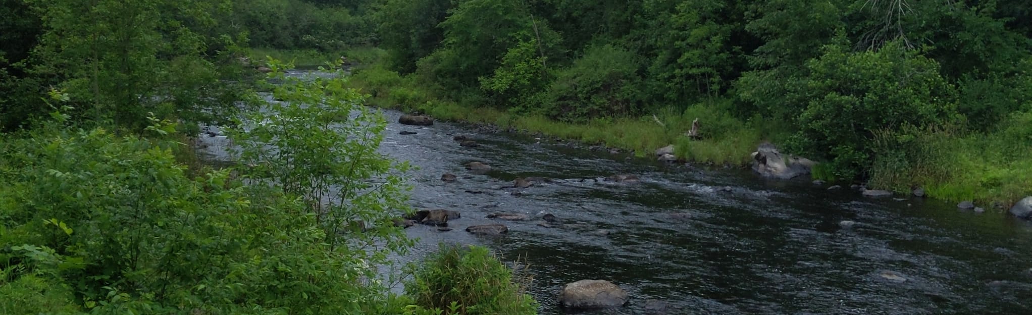 Saint George River Trail from Payson Park: 22 Reviews, Map - Maine ...