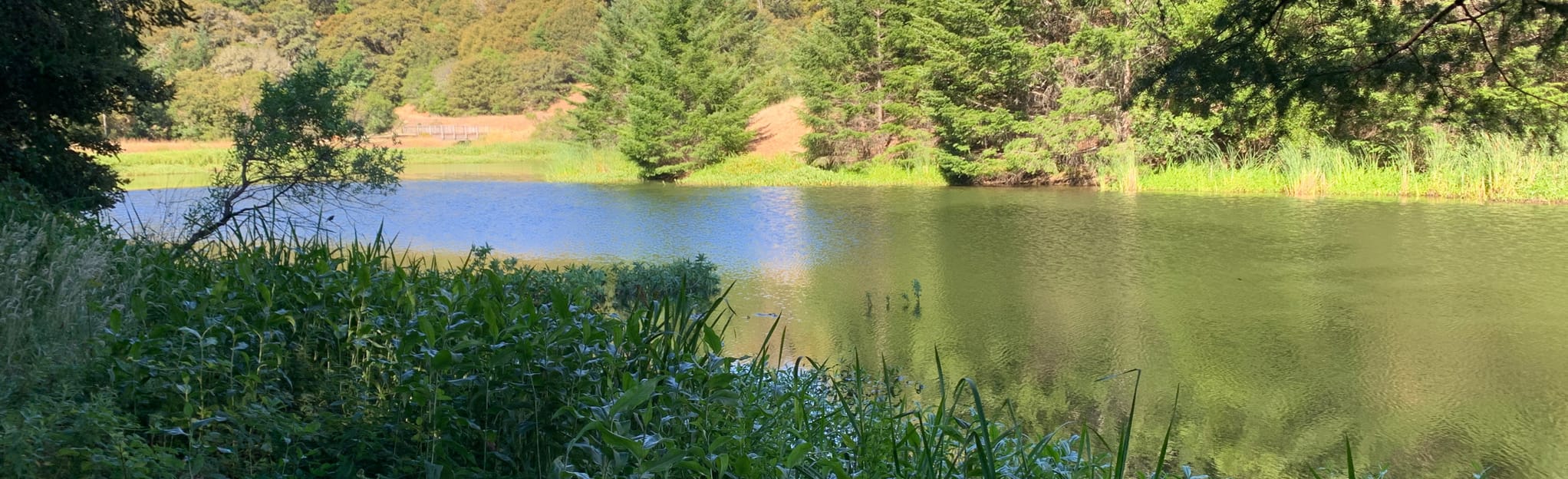 AllTrails | Tree Farm Trail via Sunny Jim Trail: 18 Reviews, Map ...