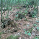 Perry State Forest Loop Trail, Ohio - 75 Reviews, Map | AllTrails