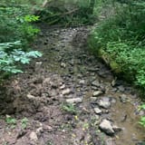 Perry State Forest Loop Trail, Ohio - 75 Reviews, Map | AllTrails