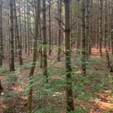 Perry State Forest Loop Trail, Ohio - 75 Reviews, Map | AllTrails