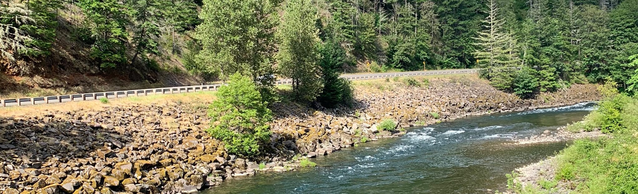 Memaloose and Clackamas Falls: 510 Reviews, Map - Oregon | AllTrails