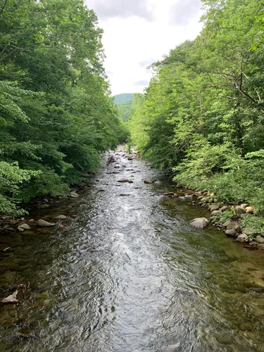 Best Hikes and Trails in Three Ridges Wilderness | AllTrails