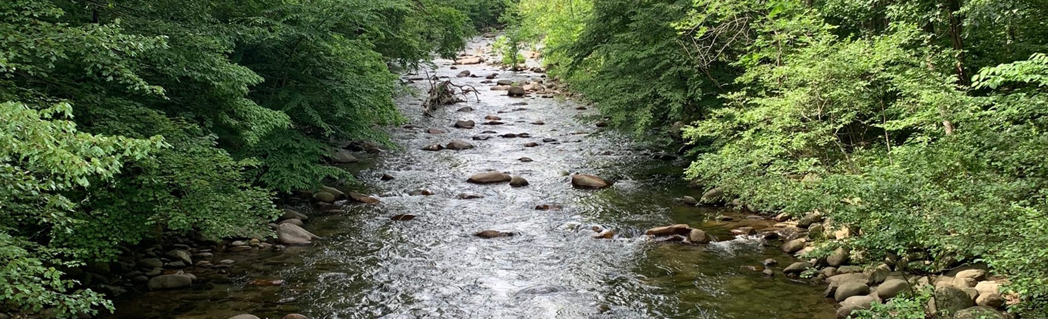 Harpers Creek Shelter via Appalachian Trail, Virginia - 206 Reviews ...