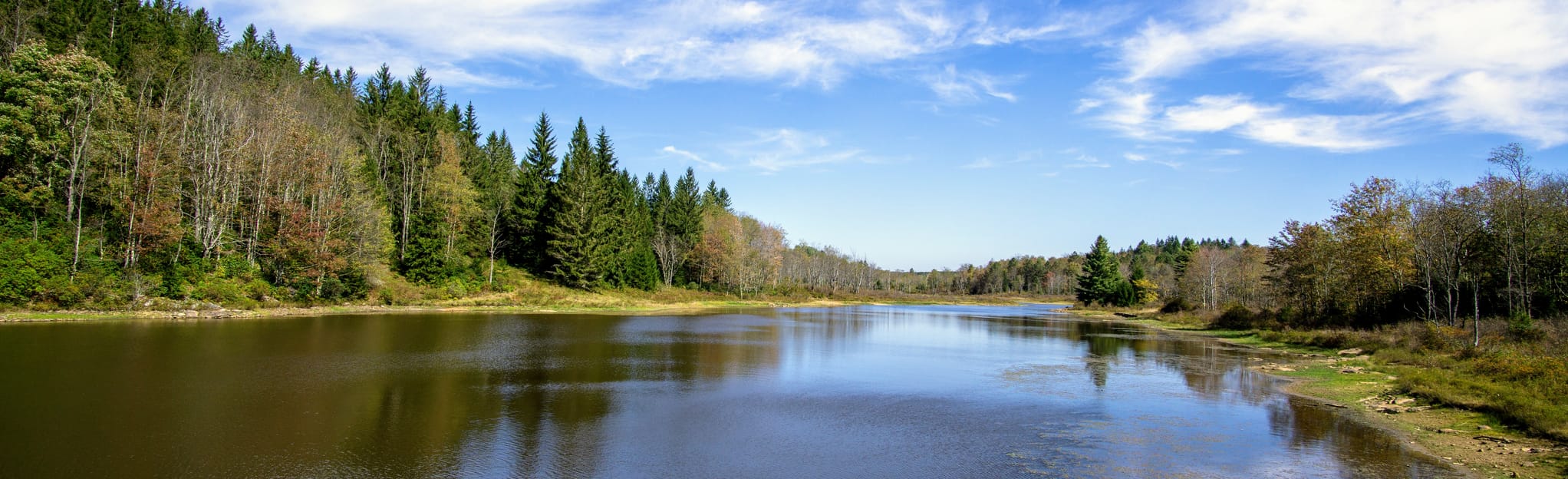 Pase Point Trail, West Virginia - 254 Reviews, Map | AllTrails