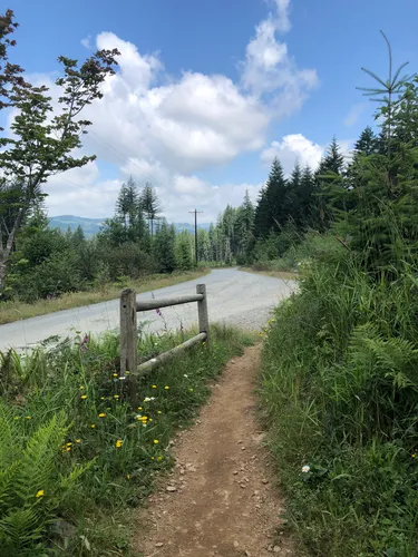 10 Best Hikes and Trails in Yacolt Burn State Forest | AllTrails