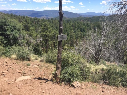 Best Hikes and Trails in Blue Range Primitive Area | AllTrails