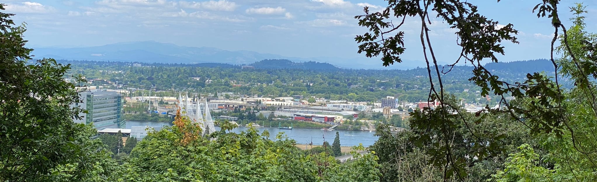 Terwilliger Trail: Duniway to George Himes Park Segment: 242 Reviews ...