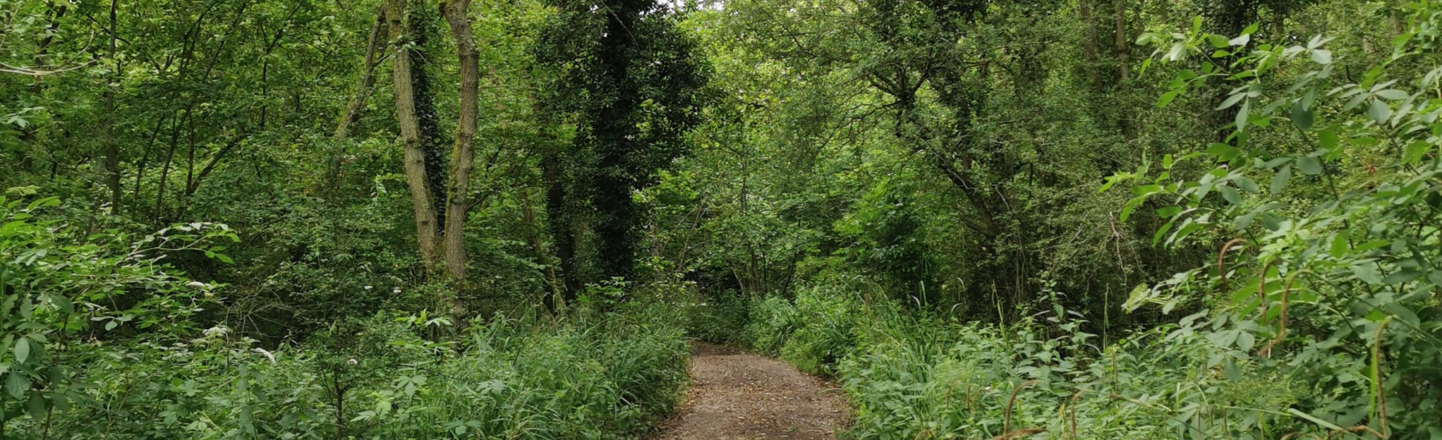 North Sydmonton and Burghclere Circular Walk, Berkshire, England - 18 ...