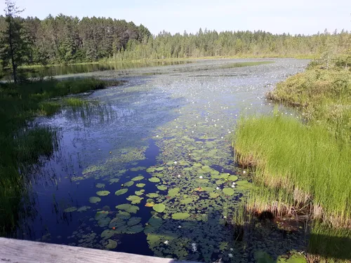 Best Hikes and Trails in Copper Country State Forest | AllTrails