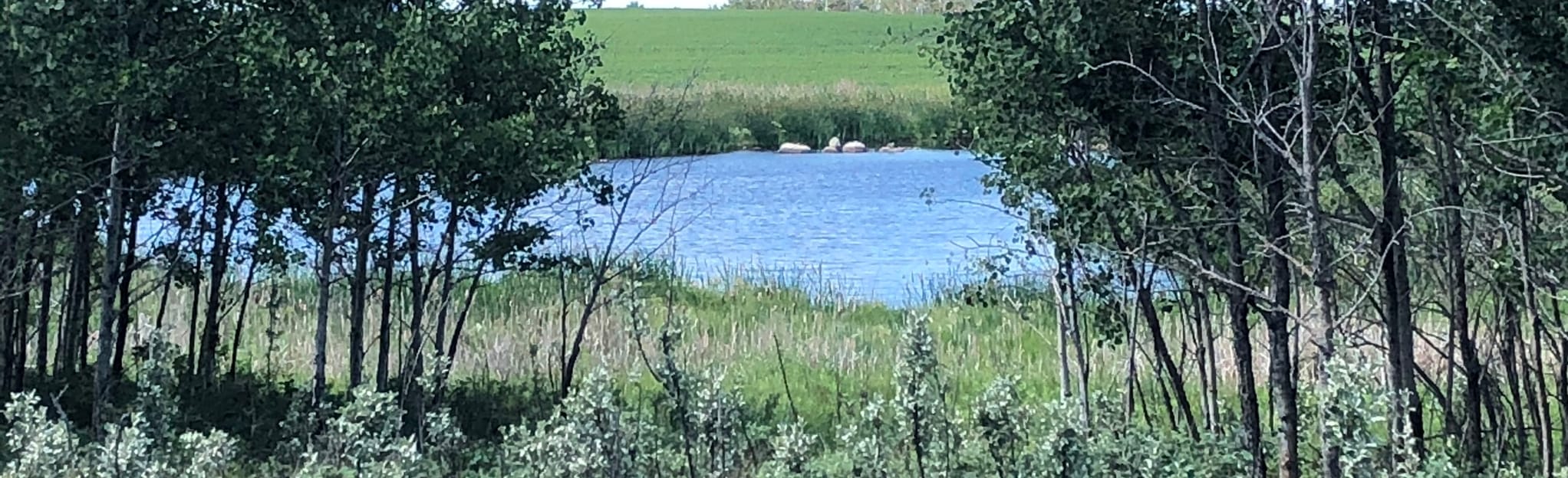Duck Drive Loop, Saskatchewan, Canada - 4 Reviews, Map | AllTrails