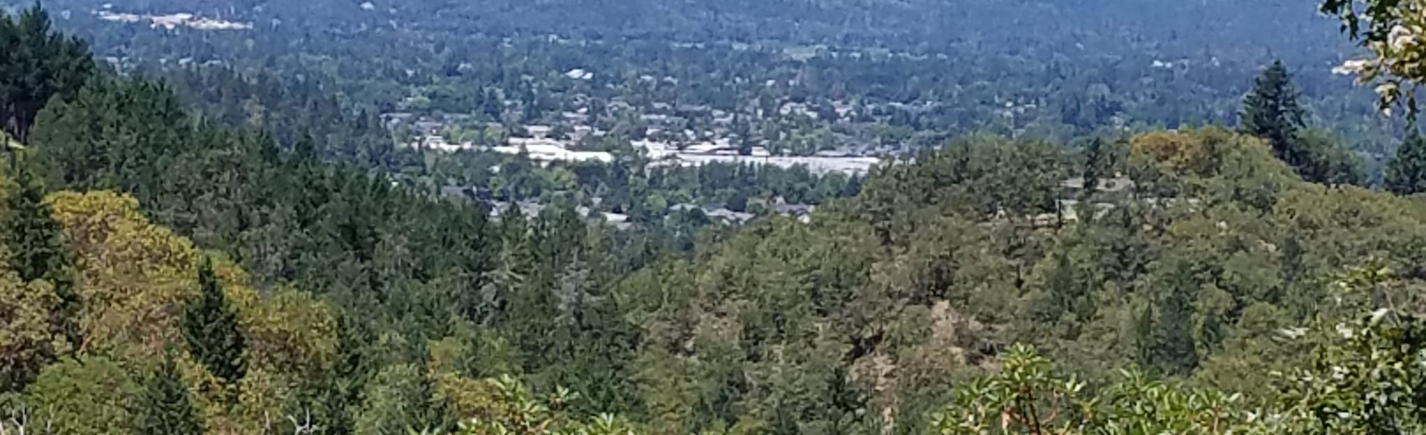 Timber Riders Trail Loop, Oregon - 265 Reviews, Map | AllTrails