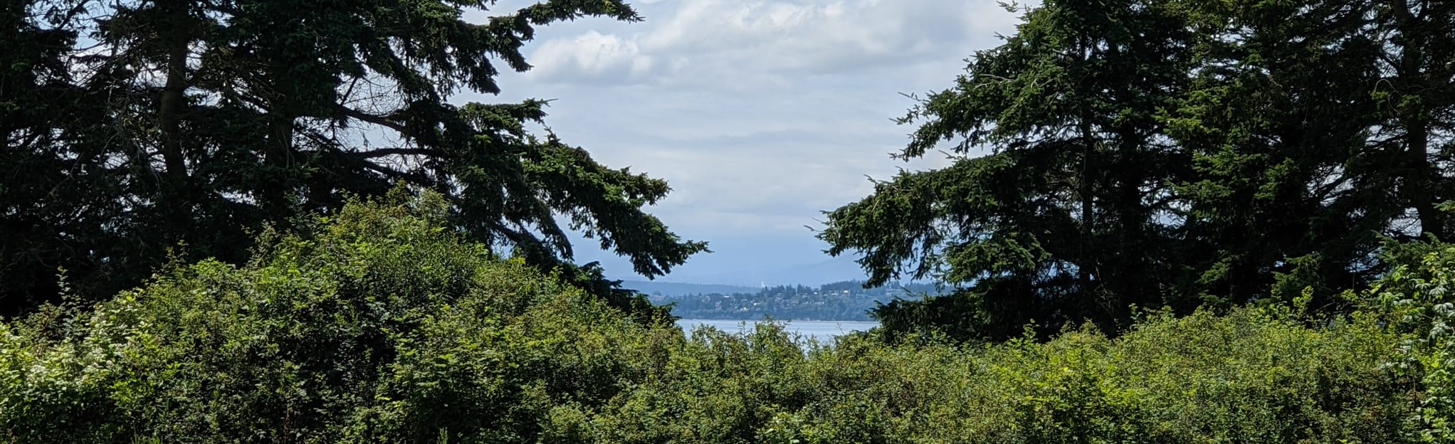 Admiralty Inlet Trail Loop, Washington - 69 Reviews, Map | AllTrails