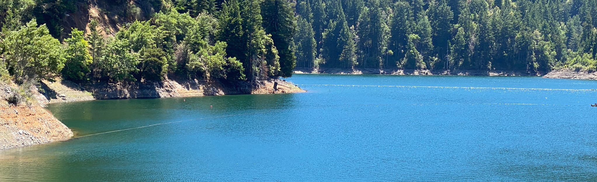 Kent Lake and Pine Mountain Loop, California - 80 Reviews, Map | AllTrails