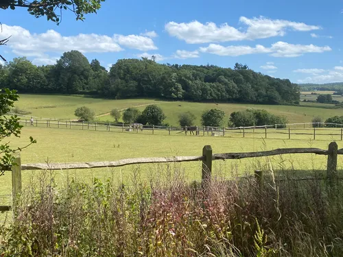 10 Best Walking Trails in Shere | AllTrails