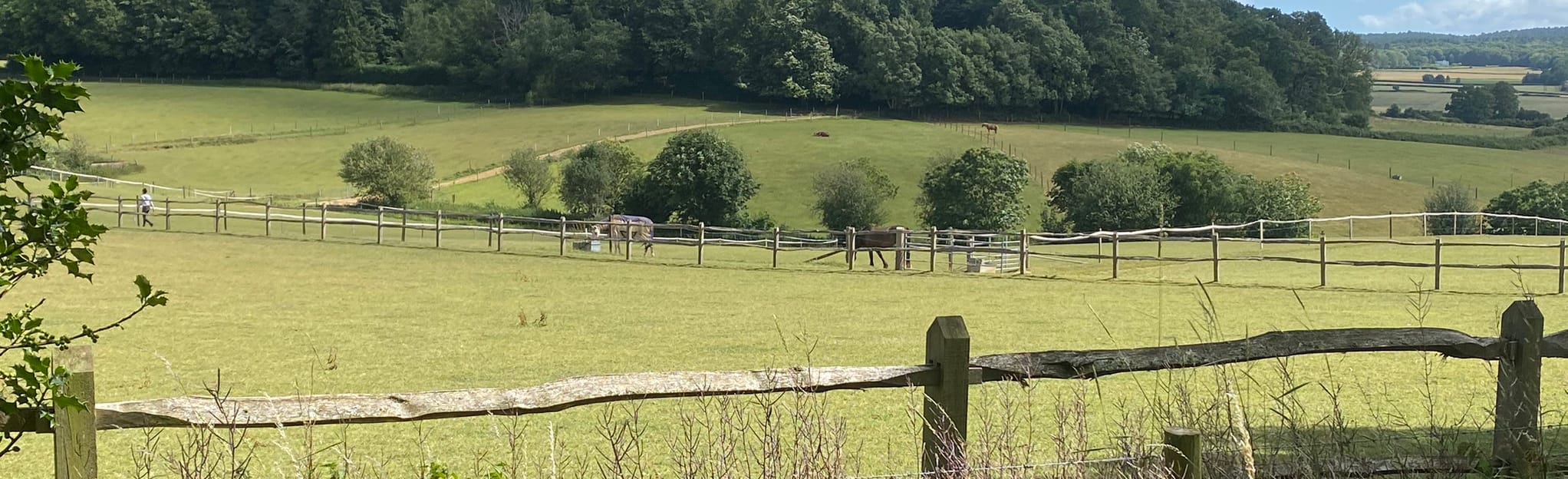 Shere Circular: 223 Reviews, Map - Surrey, England | AllTrails