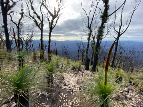 Best Hikes and Trails in Mount Imlay National Park | AllTrails