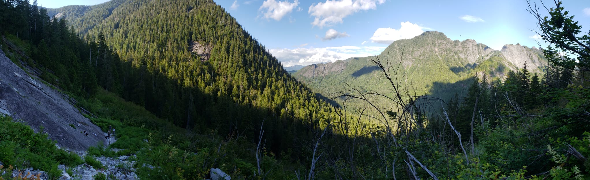 Eight Mile Trail: 65 Reviews, Map - Washington | AllTrails