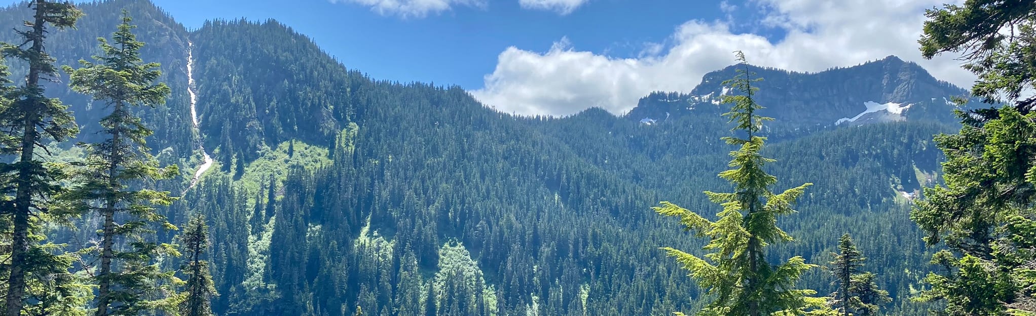 Cold Creek to Forest Road 9070: 84 Reviews, Map - Washington | AllTrails