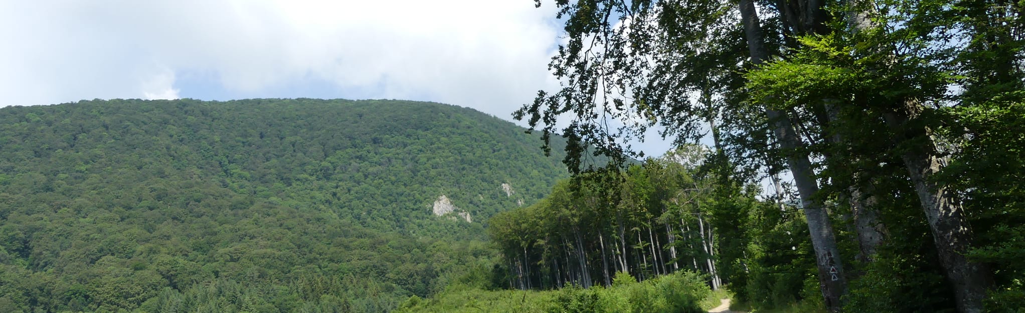 Codlea - Cetatea Neagră, Braşov, Romania - Map, Guide | AllTrails