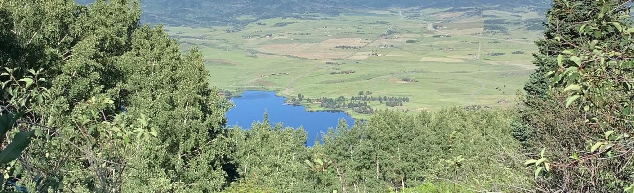 Ferndale Trail: 24 Reviews, Map - Colorado | AllTrails