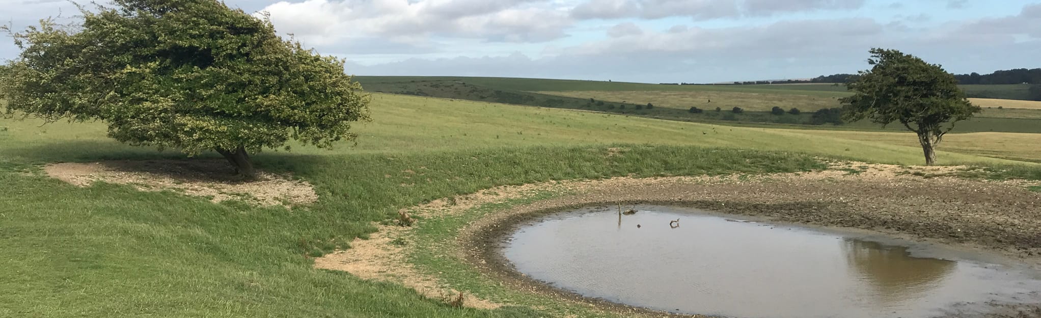 Ditchling and Westmeston Circular - West Sussex, England | AllTrails