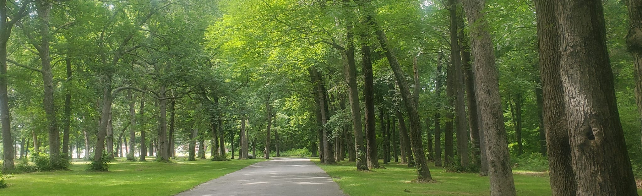 Daniel Ricketson Loop, Massachusetts - 9 Reviews, Map | AllTrails