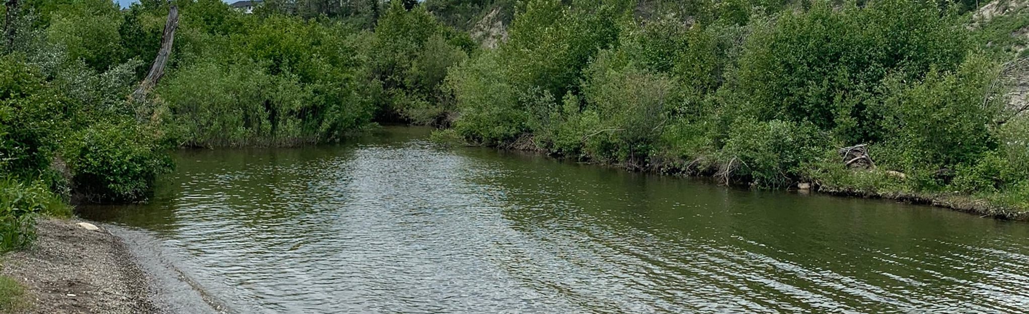 Jumping Pound Creek Pathway: 31 Reviews, Map - Alberta, Canada | AllTrails