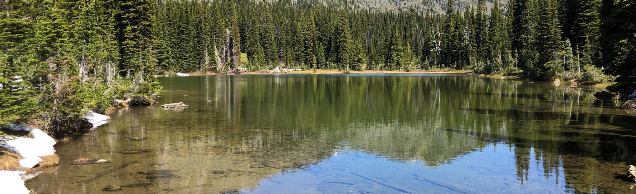 Bluebird Lake Via Highline Trail, Montana - 76 Reviews, Map | AllTrails