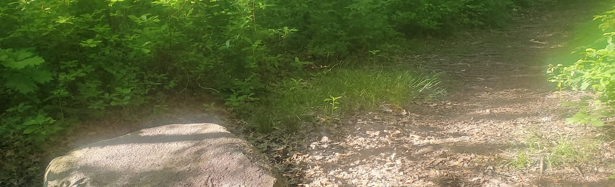 Daniel Ricketson Short Blue Loop, Massachusetts - 2 Reviews, Map ...