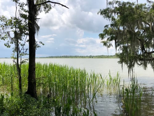 Best Hikes and Trails in Historic Blakeley State Park | AllTrails