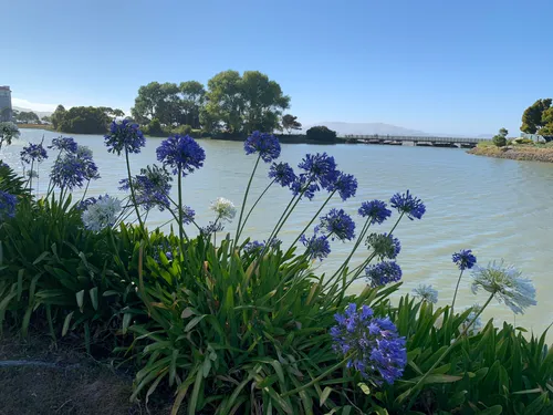 Best Hikes and Trails in Coyote Point Recreation Area | AllTrails