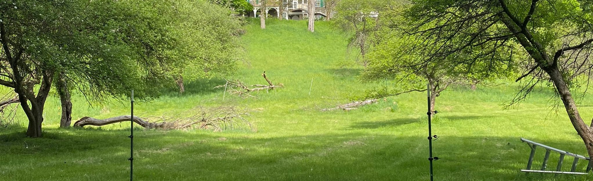 Roosevelt Home to Bard Rock via Hyde Trail - New York | AllTrails