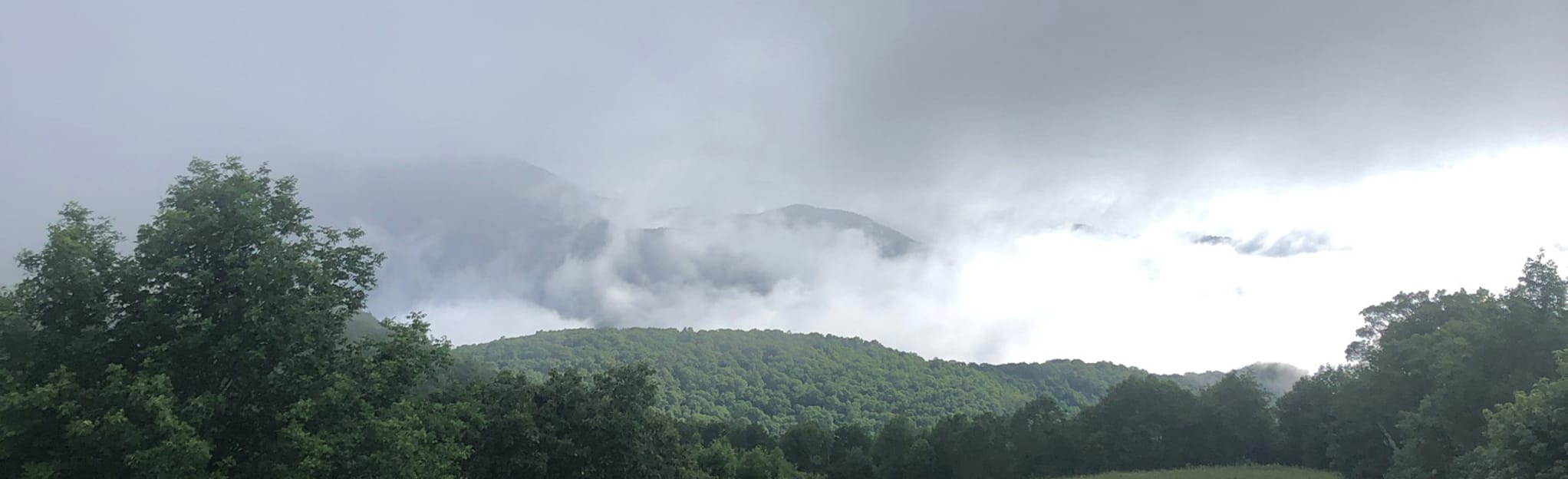 Siler Bald Loop, North Carolina - 271 Reviews, Map | AllTrails