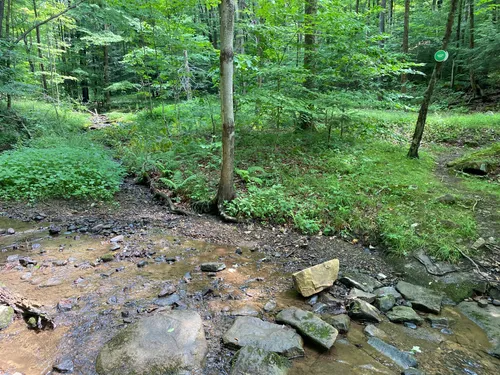 Best Hikes and Trails in Seven Springs Mountain Resort | AllTrails