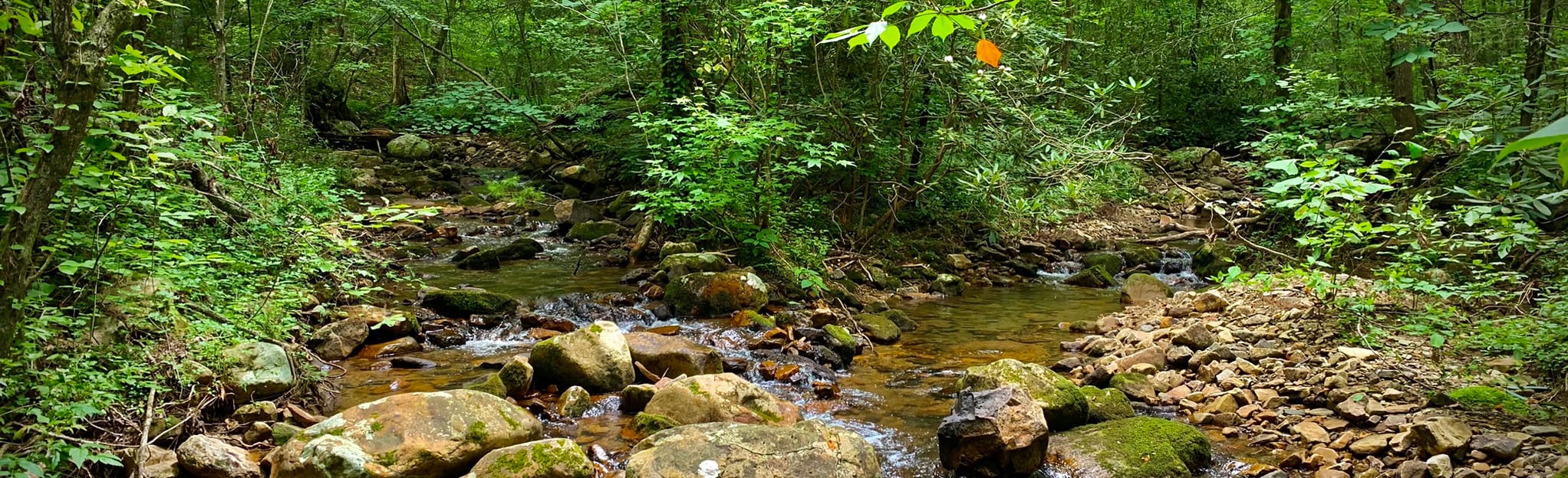 Gee Creek Watchable Wildlife Trail - Tennessee | AllTrails