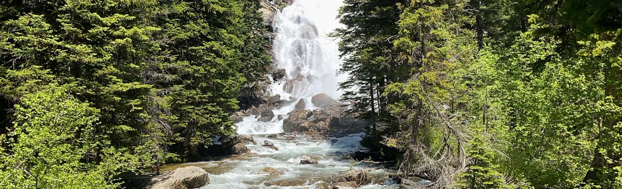 Hidden Falls Trail, Wyoming - 1,038 Reviews, Map | AllTrails